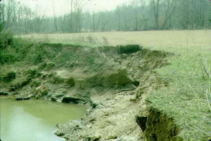 Storm Water Management Linville Grading Excavating